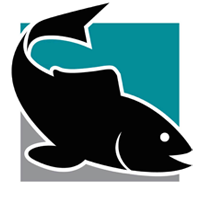 All You Need to Know About Tuna Grading | Samuels Seafood