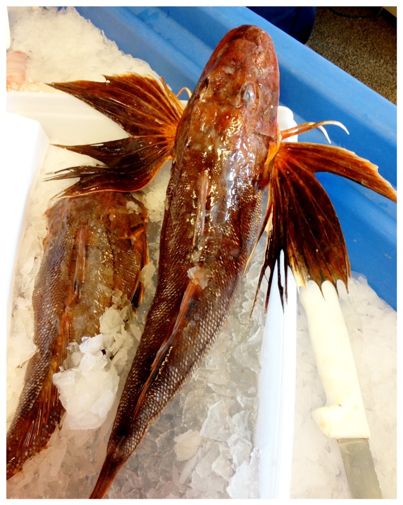 Local, Affordable, Delicious: Overlooked Catch | Samuels Seafood