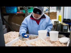 Interview with Chef Yong Kim of Blue Fin Restaurant | Samuels Seafood