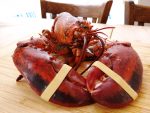 From Trash to Treasure. The Great American Lobster History. | Samuels ...
