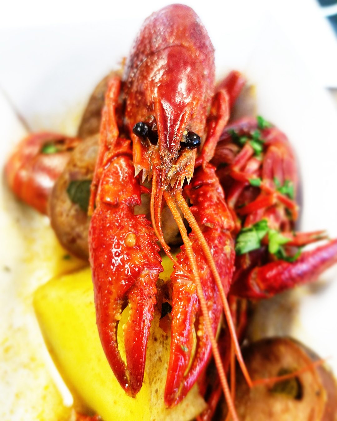 Featured Special: An Underappreciated Shellfish | Samuels Seafood